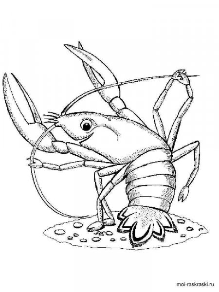 Crayfish coloring pages