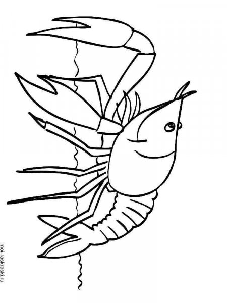 Crayfish coloring pages