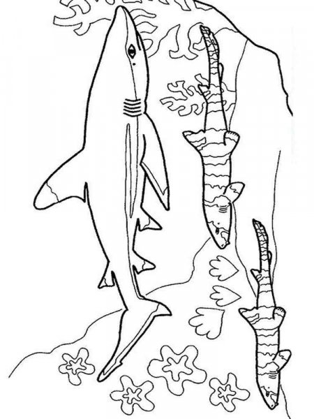 Underwater World coloring pages