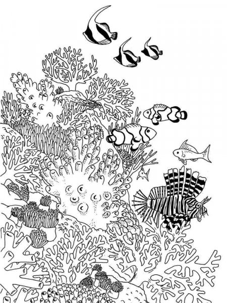 Underwater World coloring pages