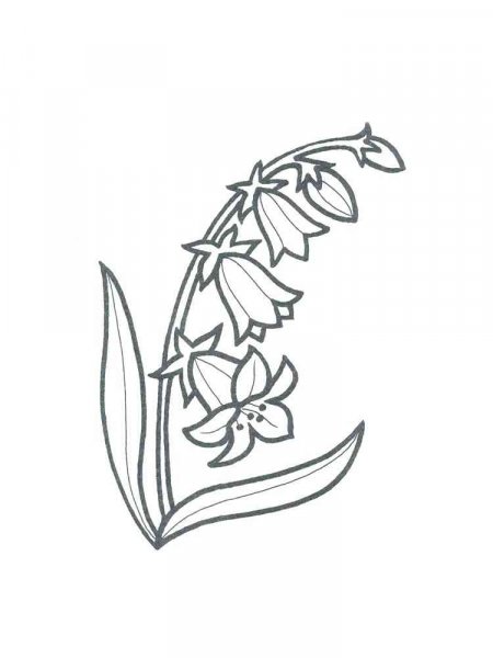 Bellflower coloring pages. Download and print Bellflower coloring pages