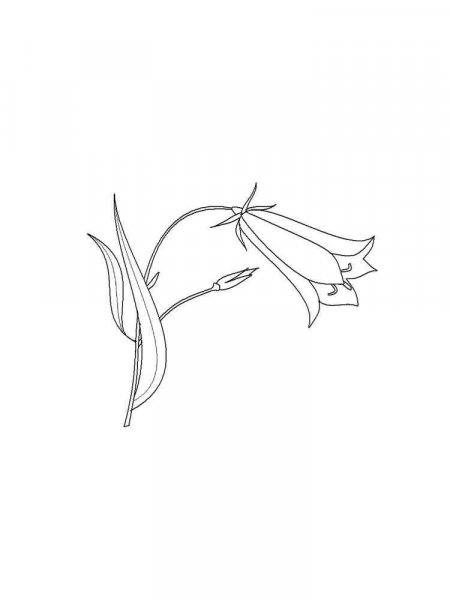Bellflower coloring pages. Download and print Bellflower coloring pages