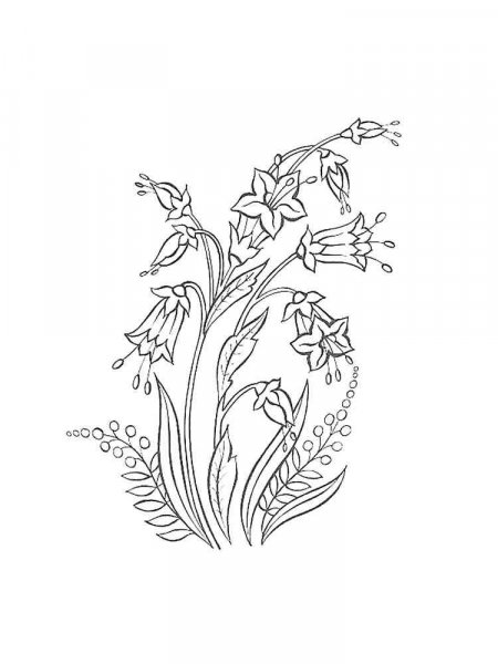 Bellflower coloring pages. Download and print Bellflower coloring pages