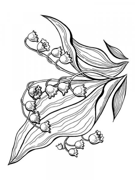 Bellflower coloring pages. Download and print Bellflower coloring pages