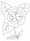 Camellia flower coloring pages