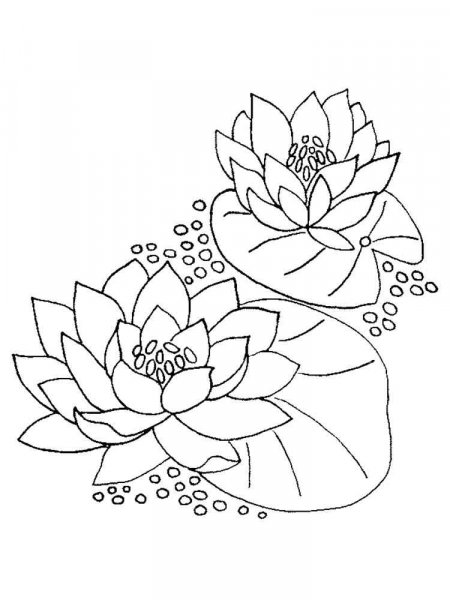 Lotus coloring pages