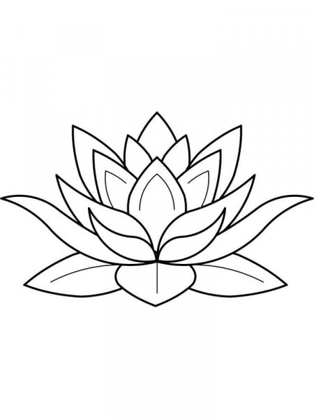 Lotus coloring pages
