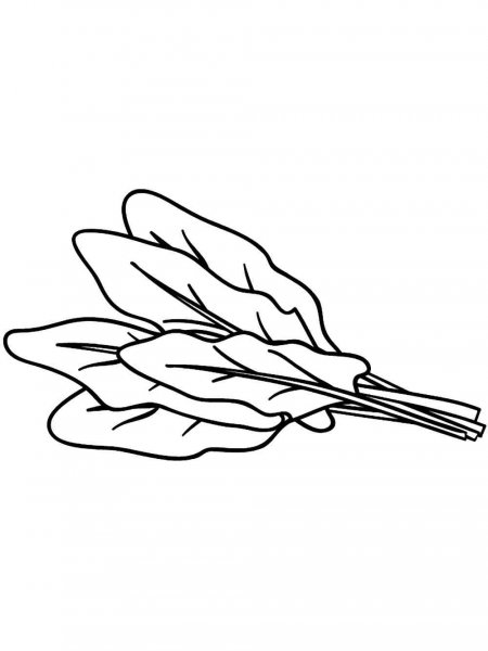 Spinach coloring pages
