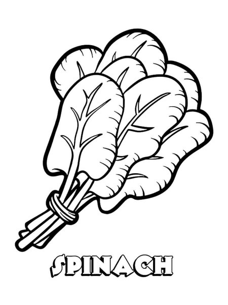 Spinach coloring pages