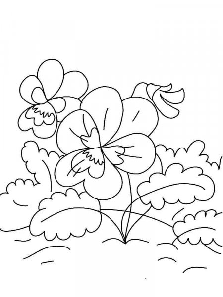 Violet coloring pages