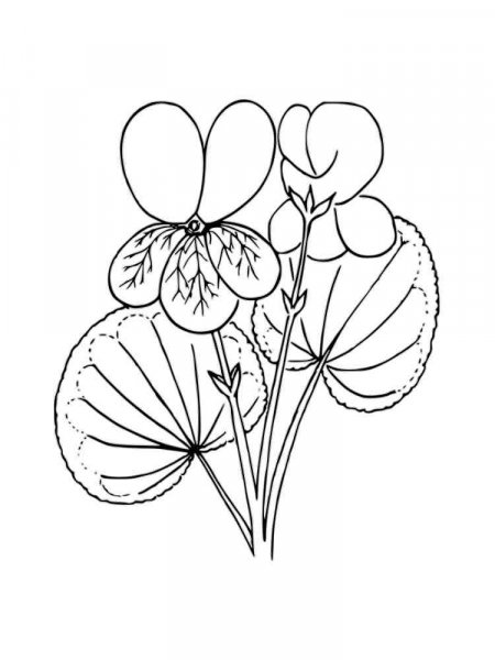 Violet coloring pages