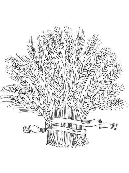 Wheat coloring pages