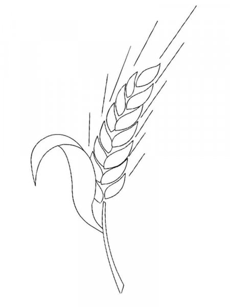 Wheat coloring pages