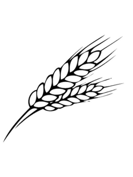 Wheat coloring pages