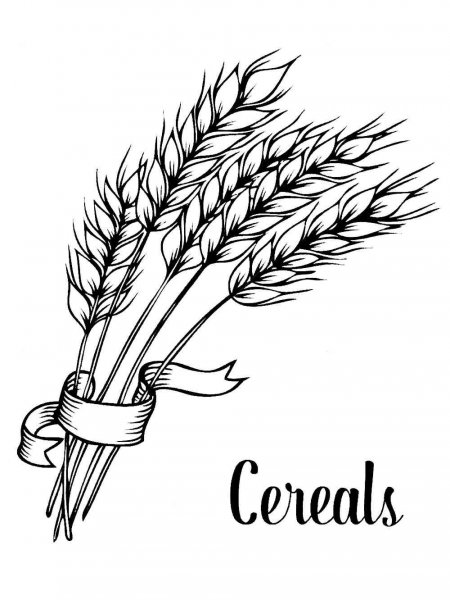 Wheat coloring pages