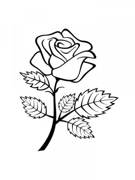 Rose coloring pages