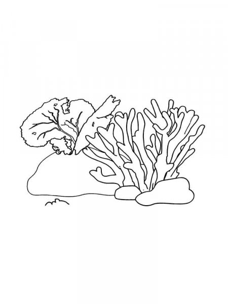 Coral coloring pages