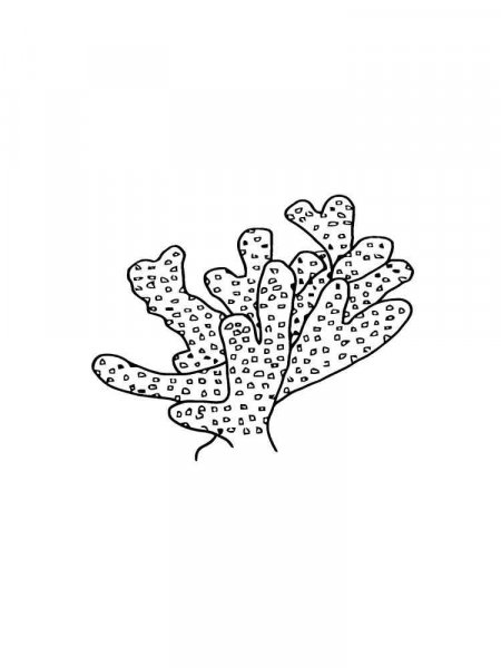 Coral coloring pages