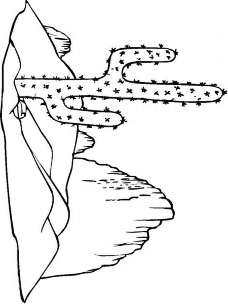 Desert coloring pages