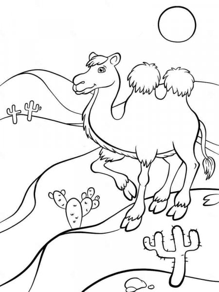 Desert coloring pages
