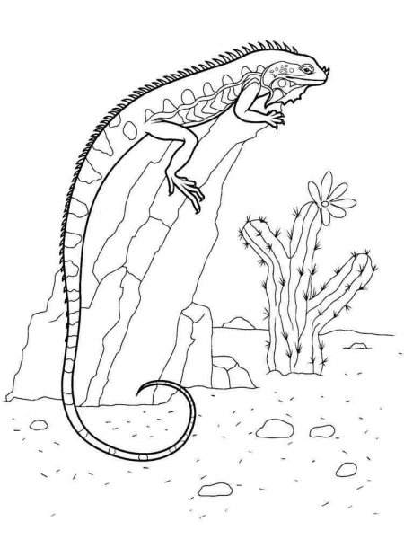 Desert coloring pages
