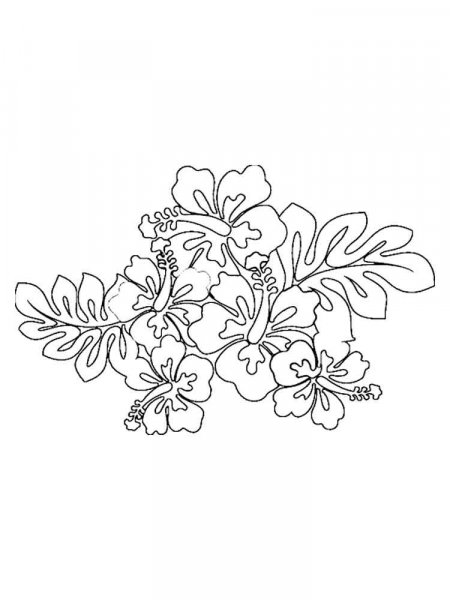 Hawaii coloring pages