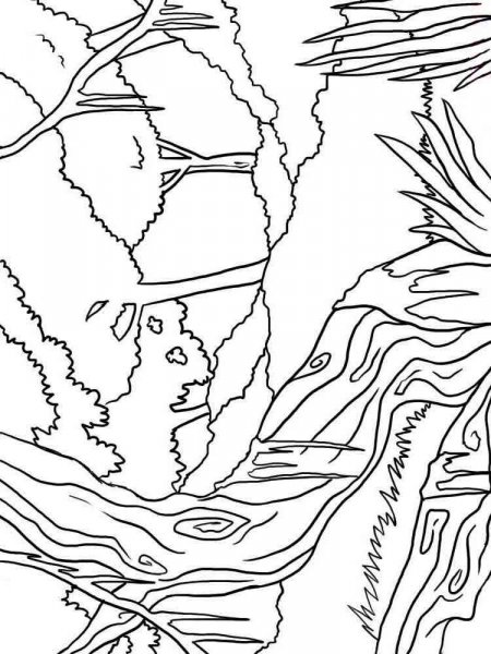 Forest coloring pages