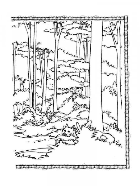 Forest coloring pages