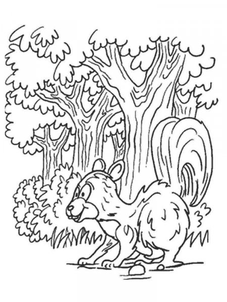 Forest coloring pages