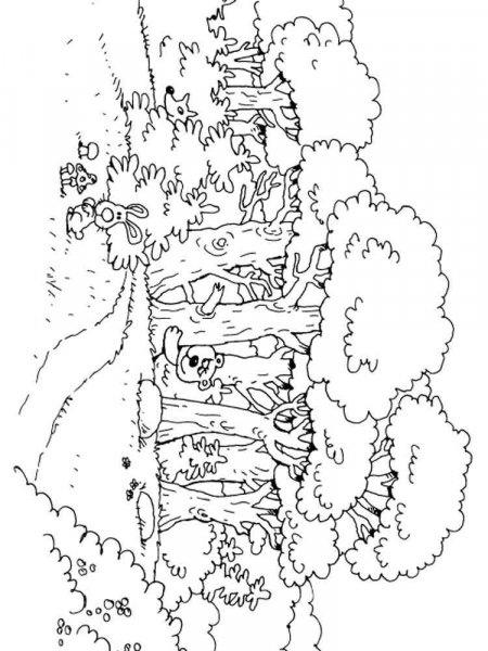 Forest coloring pages