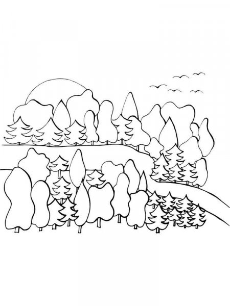 Forest coloring pages