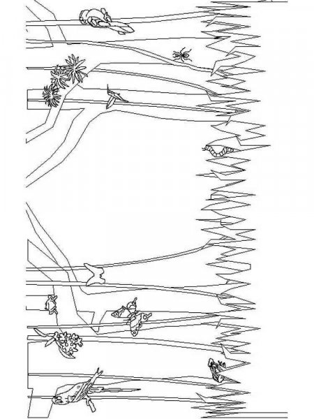 Forest coloring pages