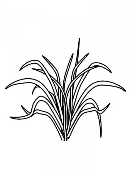 Grass coloring pages