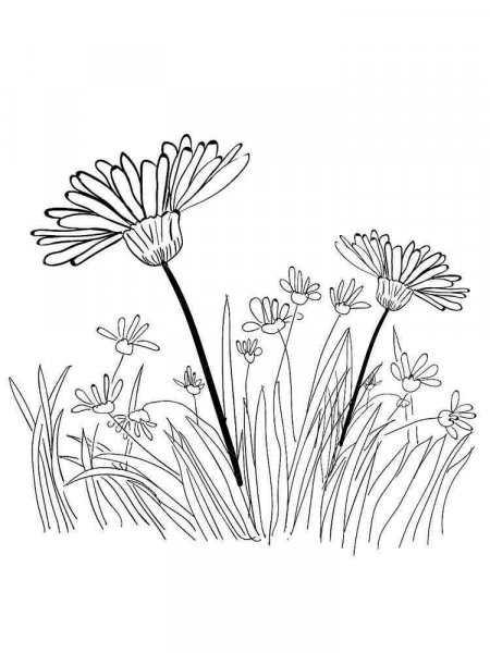 Grass coloring pages