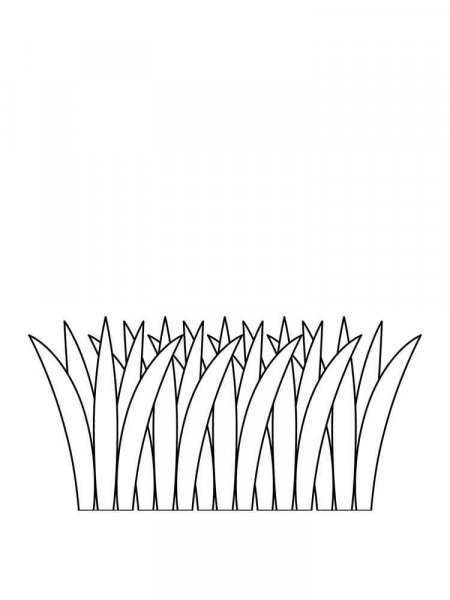 Grass coloring pages