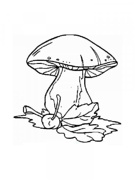 Mushrooms coloring pages. Download and print mushrooms coloring pages