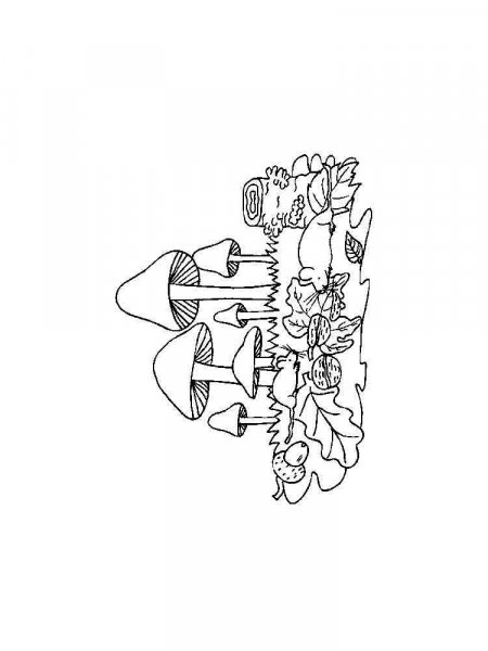 Mushrooms coloring pages. Download and print mushrooms coloring pages