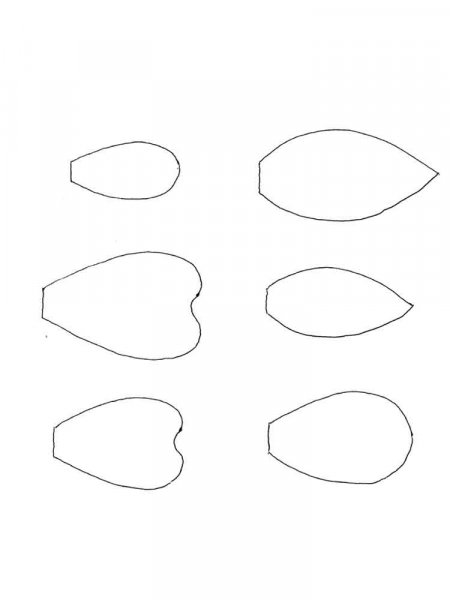 Petals coloring pages