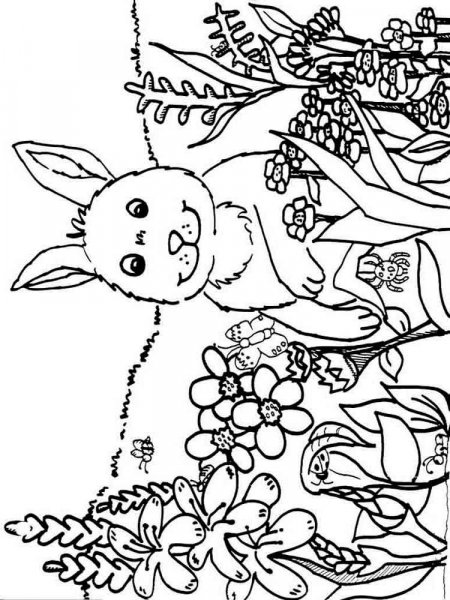 Spring coloring pages