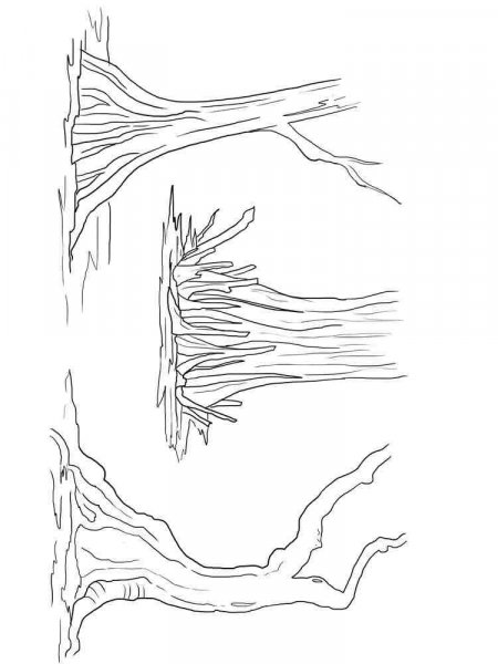 Swamp coloring pages