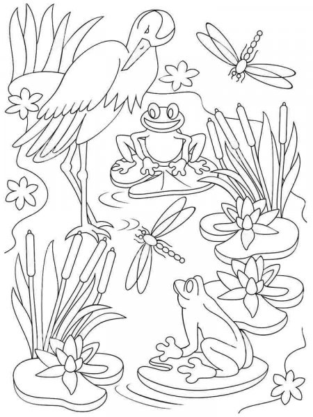 Swamp coloring pages
