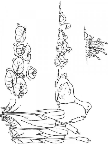 Swamp coloring pages