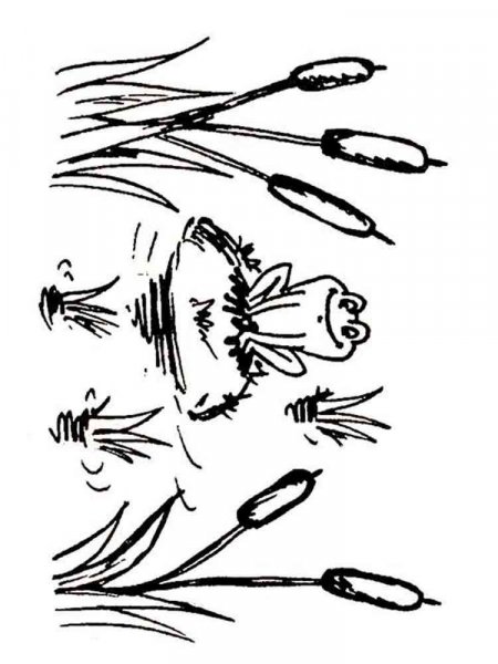 Swamp coloring pages