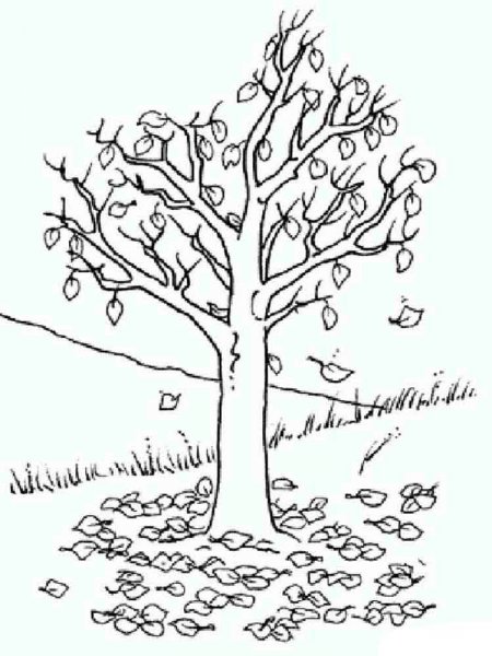 Trees coloring pages