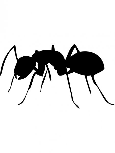 Ant Stencils - Free Printable
