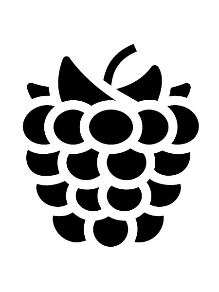 Raspberry Stencils - Free Printable