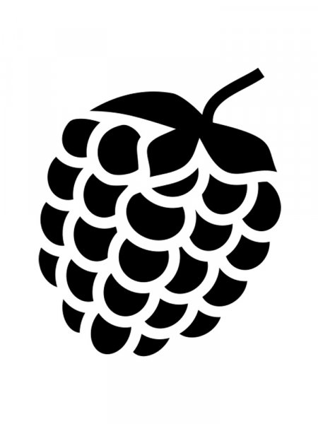 Raspberry Stencils - Free Printable