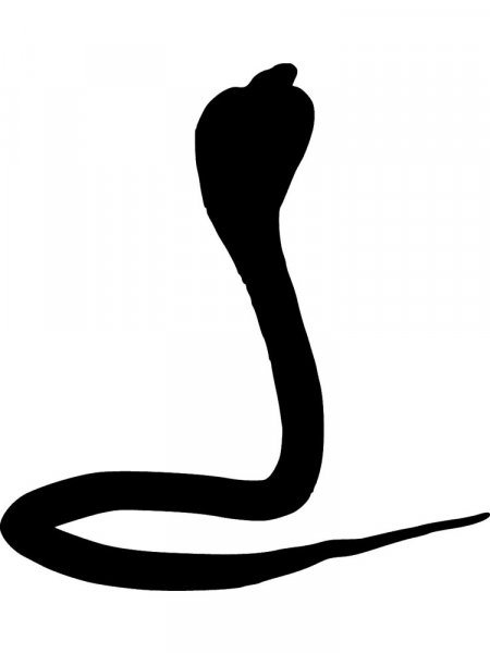 Snake Stencils - Free Printable