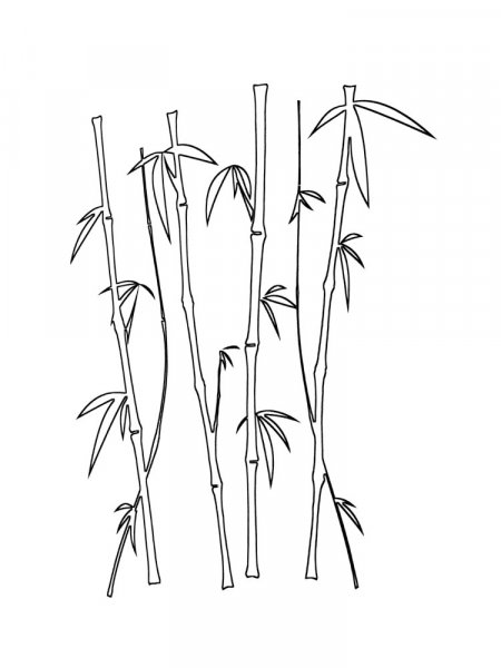 Bamboo coloring pages