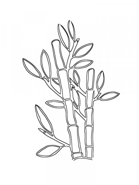 Bamboo coloring pages